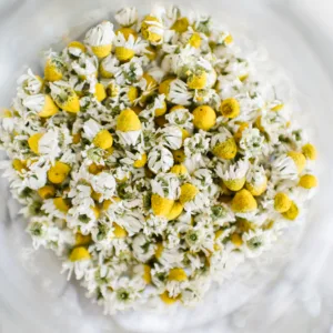 How to Harvest & Dry Chamomile Flowers | The Rooted Farmhouse