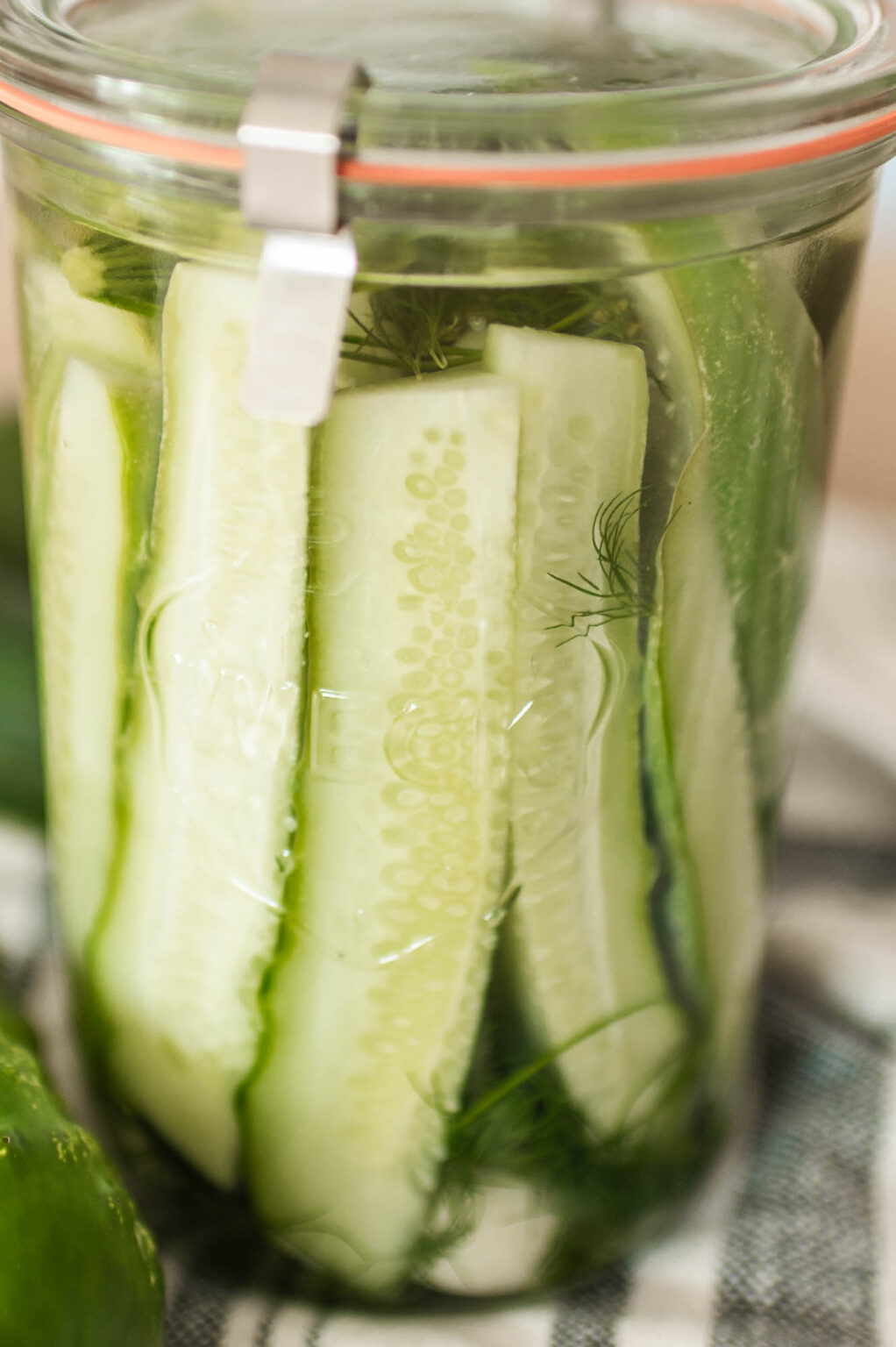 Easy Refrigerator Dill Pickles - The Rooted Farmhouse | Gardening ...