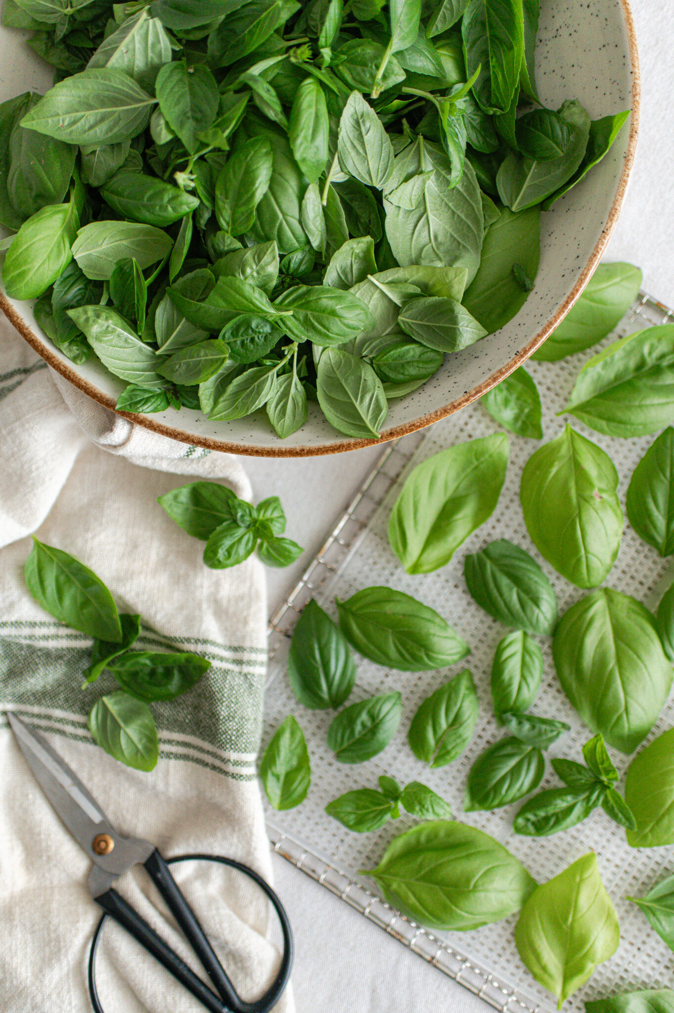 How to Dehydrate Basil for Long-Term Storage - The Rooted Farmhouse ...