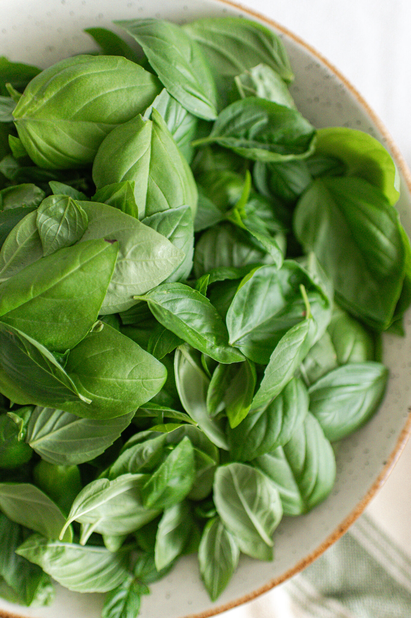 How to Dehydrate Basil for Long-Term Storage - The Rooted Farmhouse ...