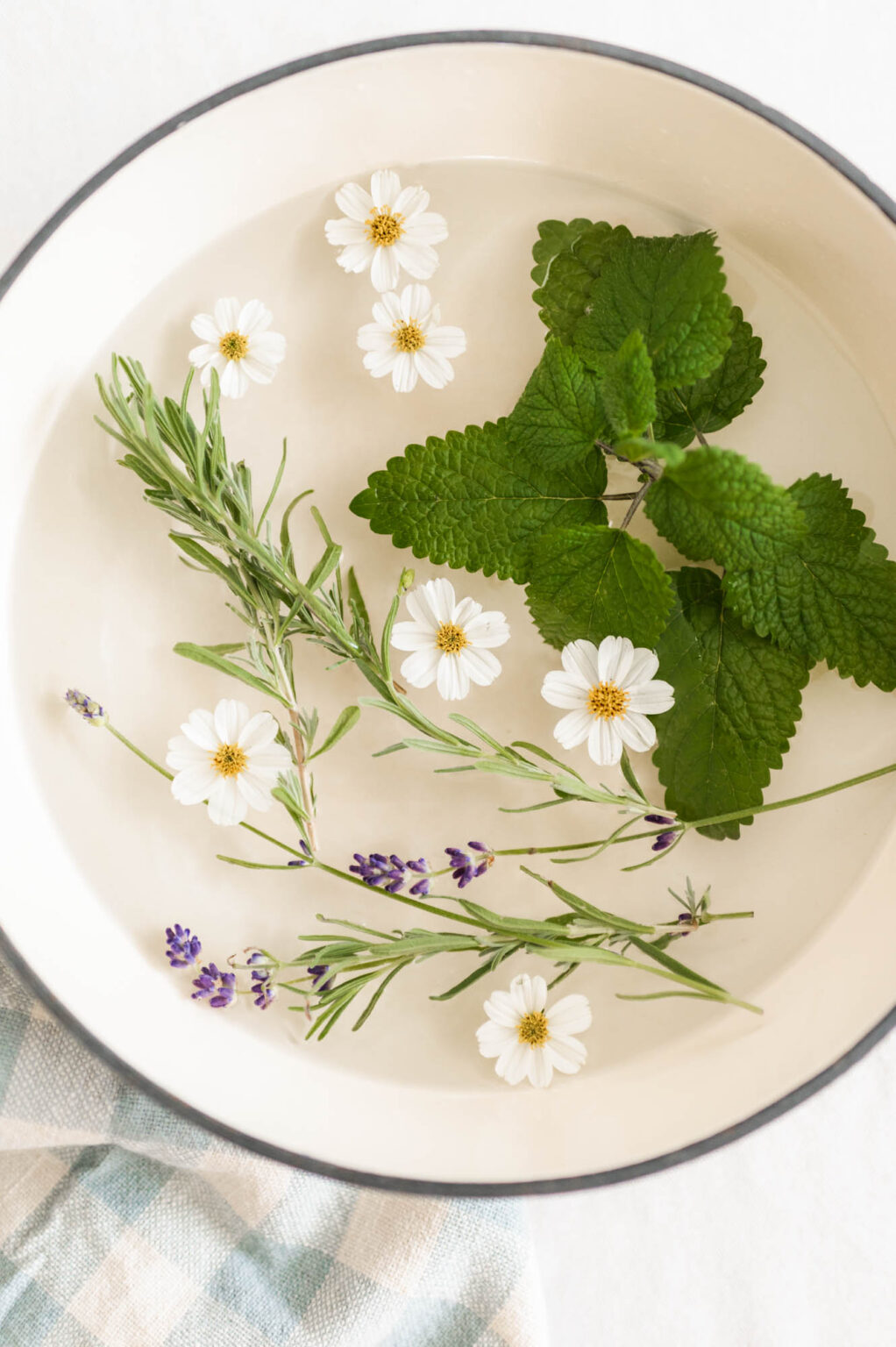 Lavender Lemon Balm Simmer Pot - The Rooted Farmhouse | Gardening ...