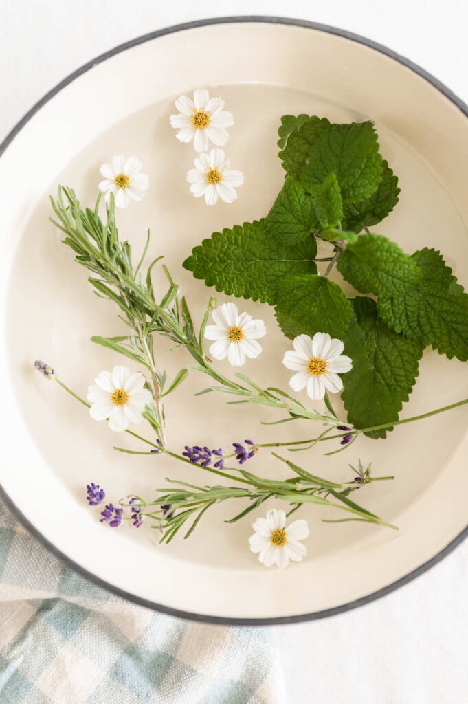 Lavender Lemon Balm Simmer Pot - The Rooted Farmhouse | Gardening ...