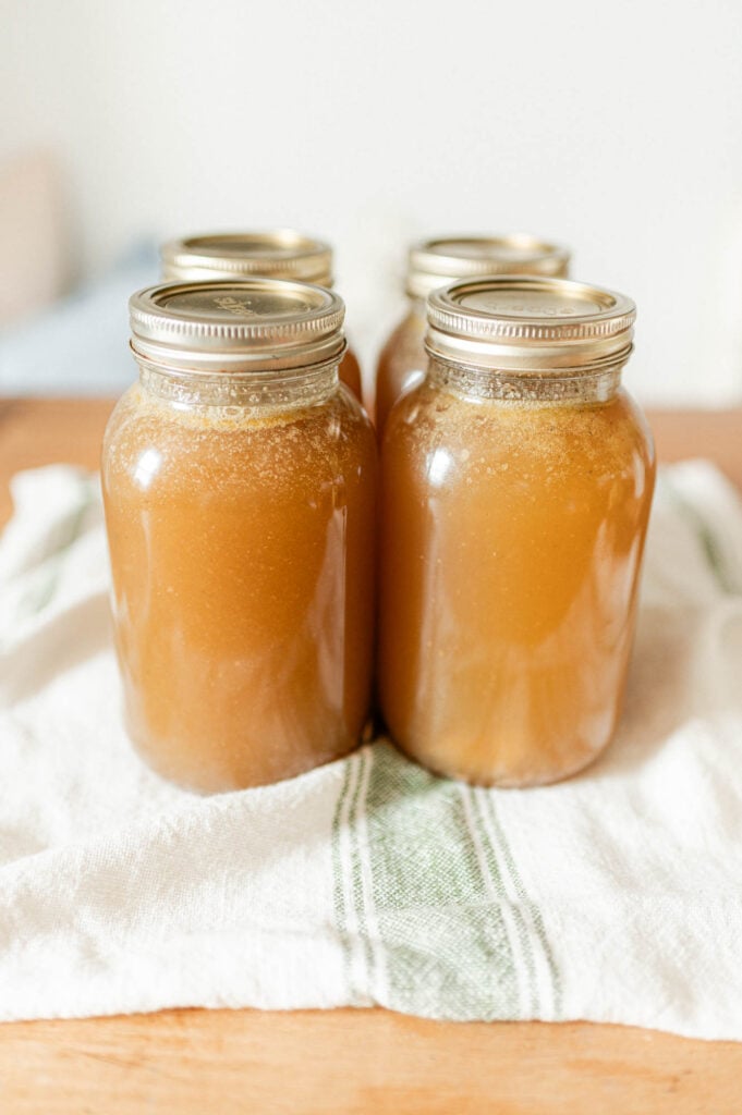 How to Dehydrate Blackberries (4 Ways to Use Fruit Powder) - The Rooted ...