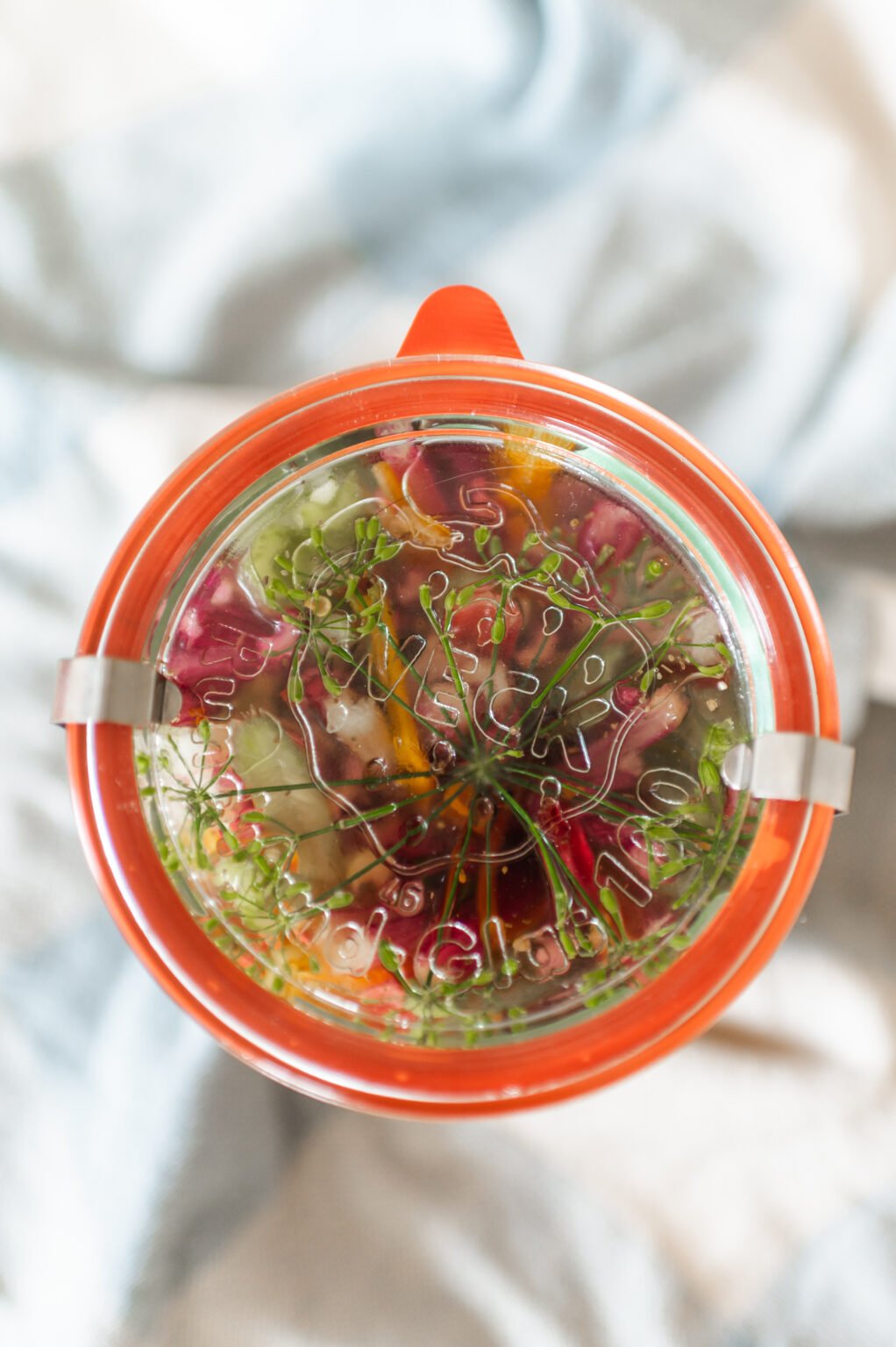 Zesty Pickled Rainbow Swiss Chard - The Rooted Farmhouse | Gardening ...