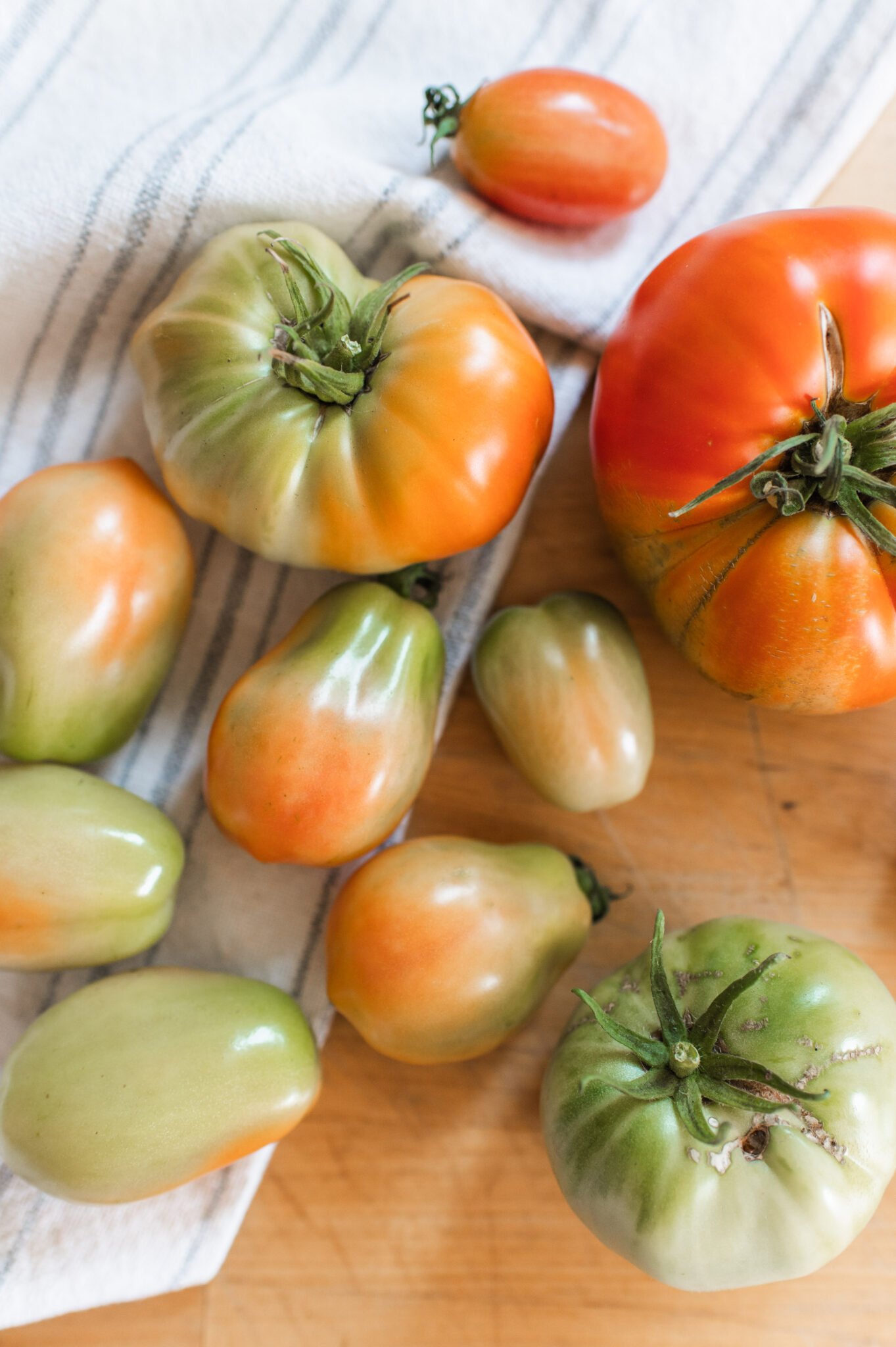 How to Grow Peppers From Seed | The Ultimate Guide - The Rooted ...