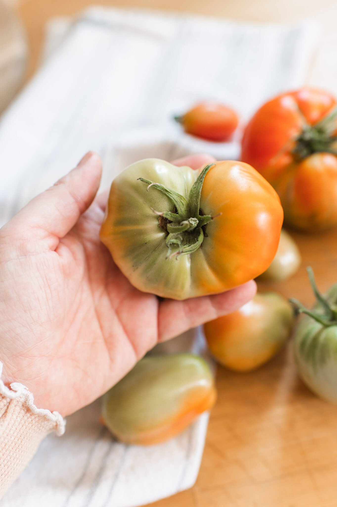 How & Why to Harvest Tomatoes at First Blush - The Rooted Farmhouse ...
