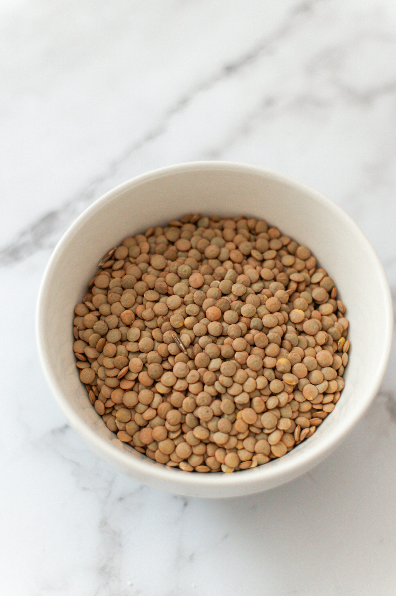How to Sprout Lentils For Chickens - The Rooted Farmhouse | Gardening ...