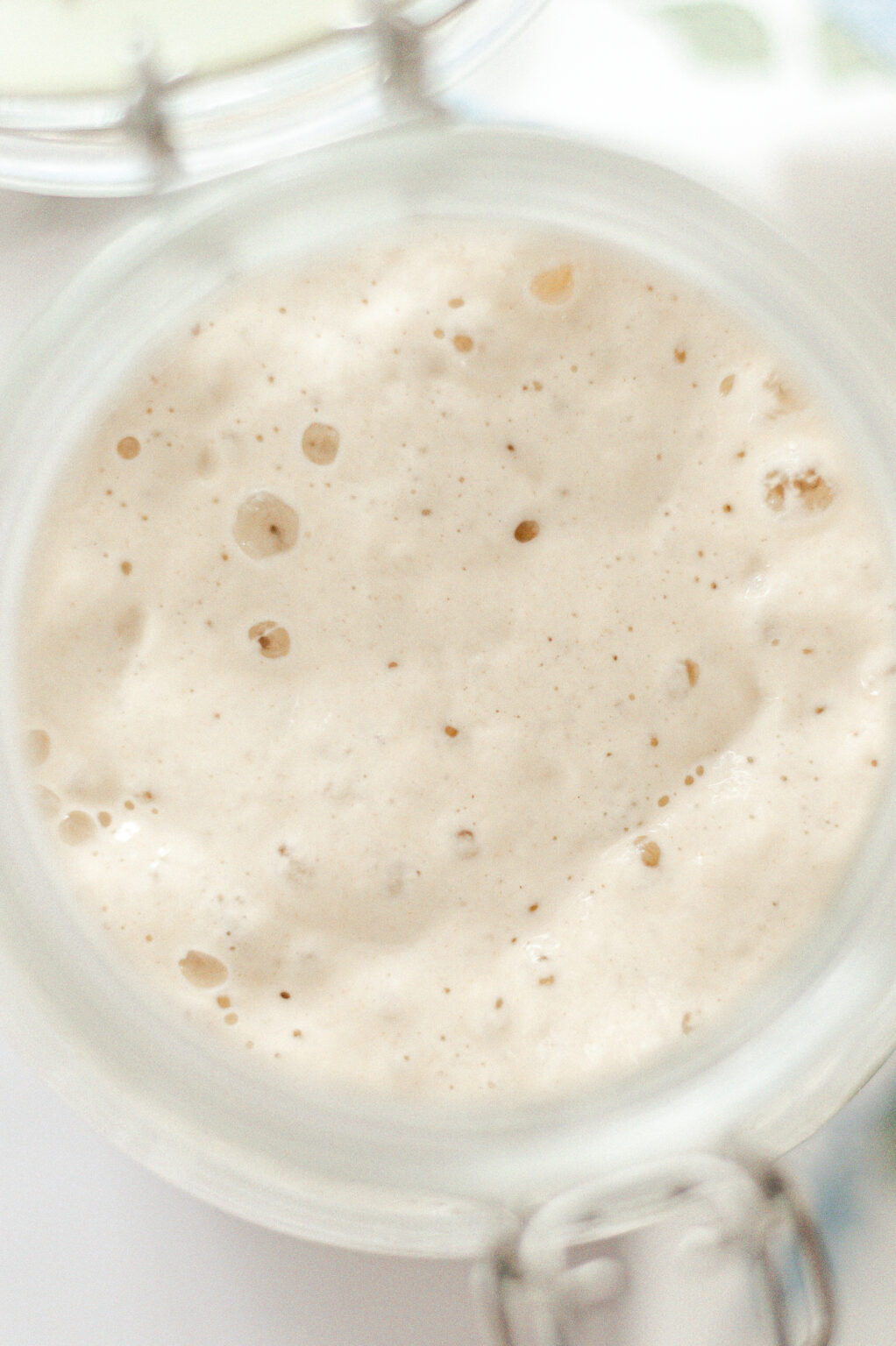 Easy Beginner Sourdough Bread - The Rooted Farmhouse | Gardening ...