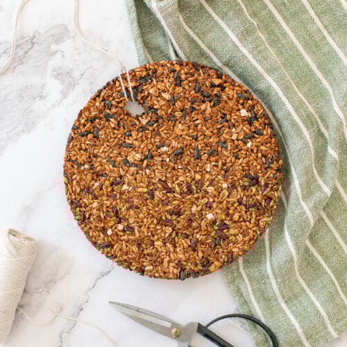 DIY Flock Block for Your Chickens - The Rooted Farmhouse | Gardening ...