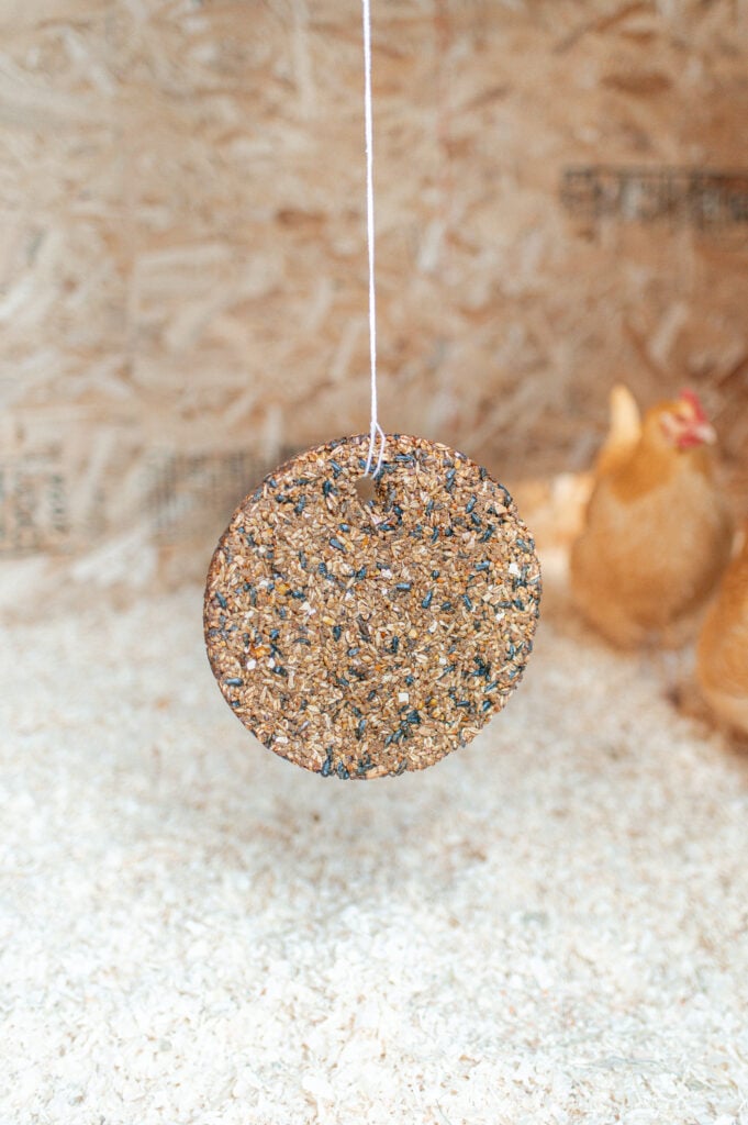 DIY Flock Block for Your Chickens - The Rooted Farmhouse | Gardening ...