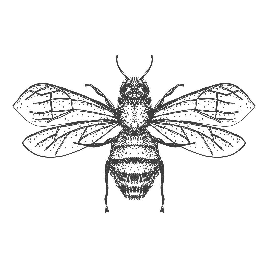 How to Incubate Chicken Eggs for Beginners (Free Hatching Tracker) - The Rooted Farmhouse ...