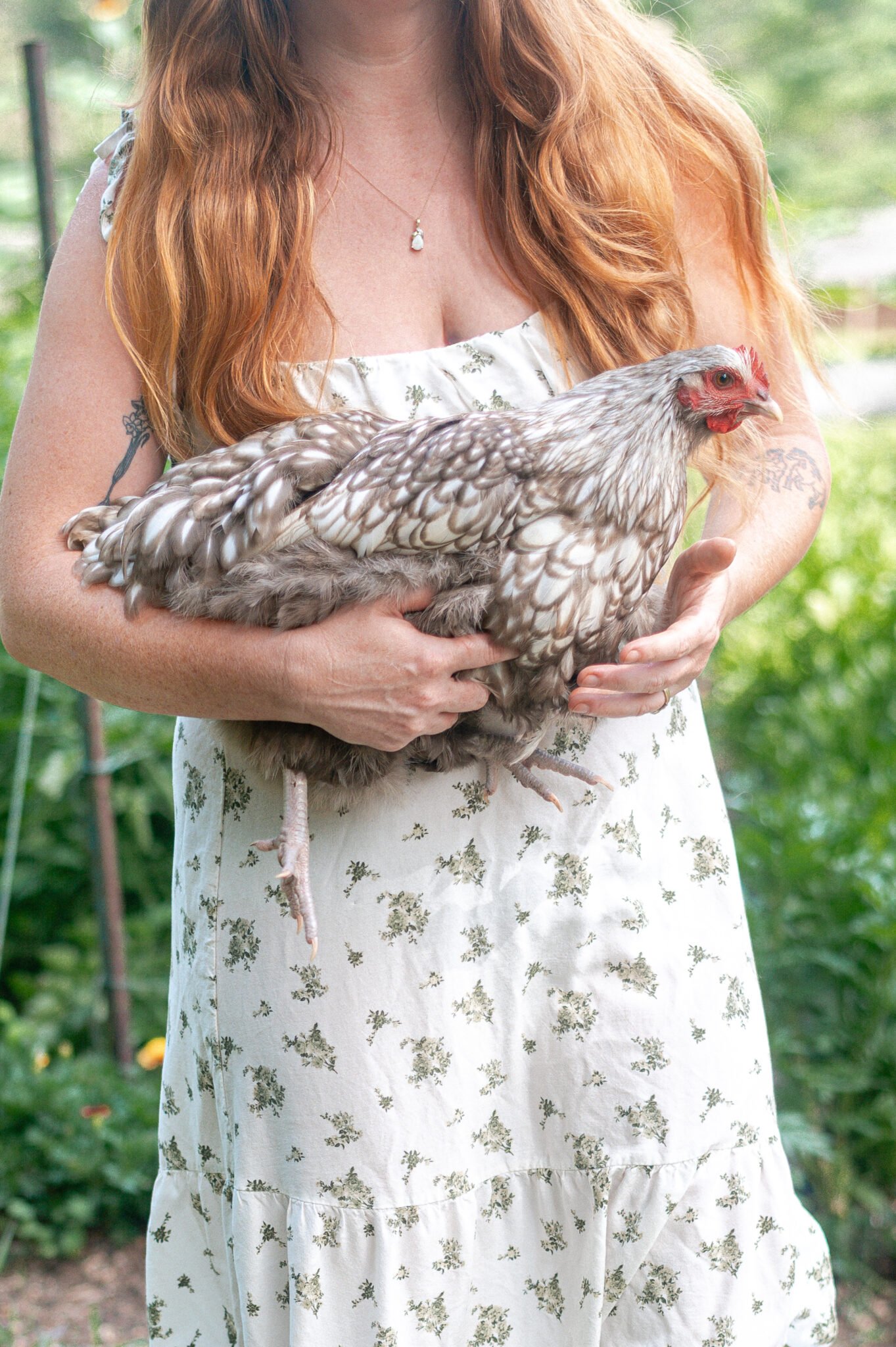 How to Prioritize Homesteading Tasks Without the Overwhelm - The Rooted ...