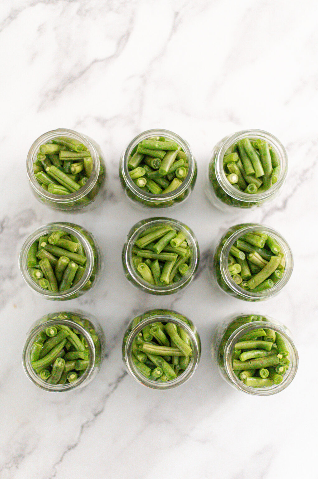 How to Can Green Beans in a Pressure Canner (Raw Pack Method) - The ...